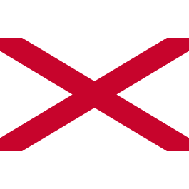 St Patrick Flag | Quality Polyester, Multiple Sizes